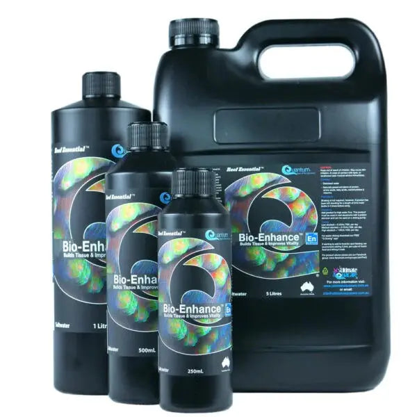 Boost Coral Color with Quantum’s Bioactive Color Intensifiers – Quantum USA
